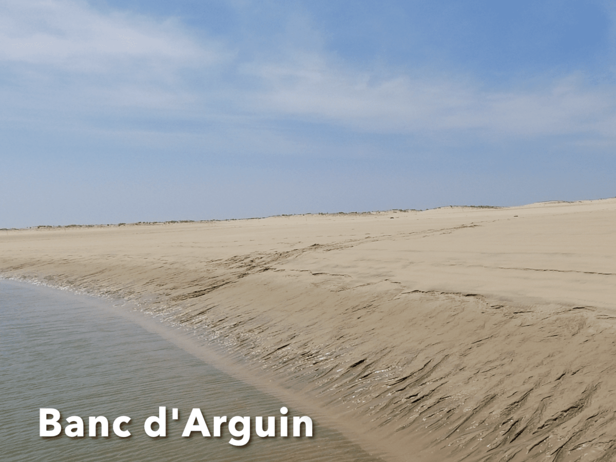 L'incroyable transformation du Banc d'Arguin - TV CAP FERRET