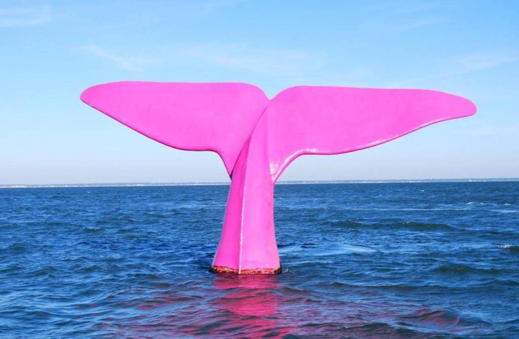 Les millésimes de la queue de la baleine d'Arcachon